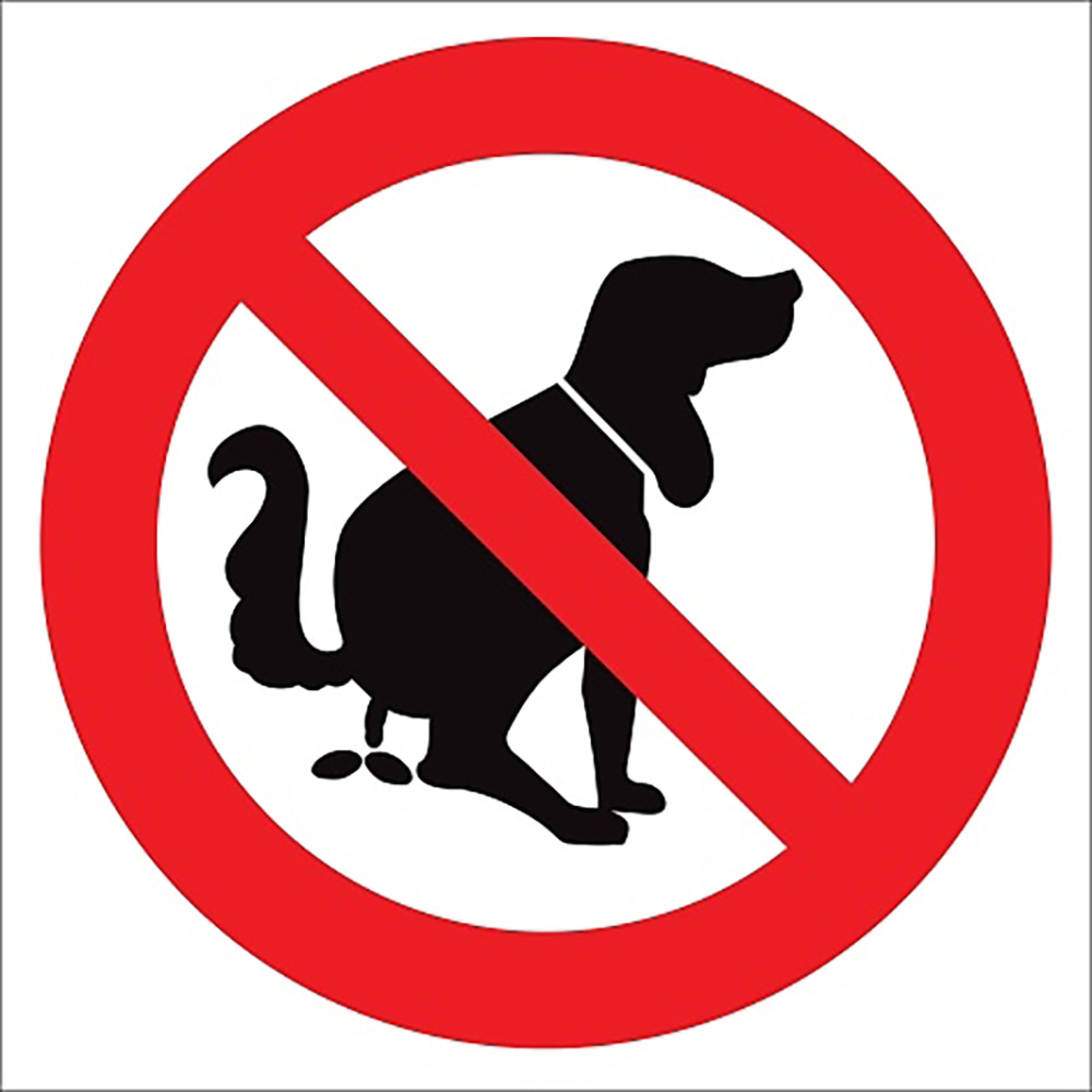 Do Not Leave Dog Feces on The Floor Sign Board Label Symbol
